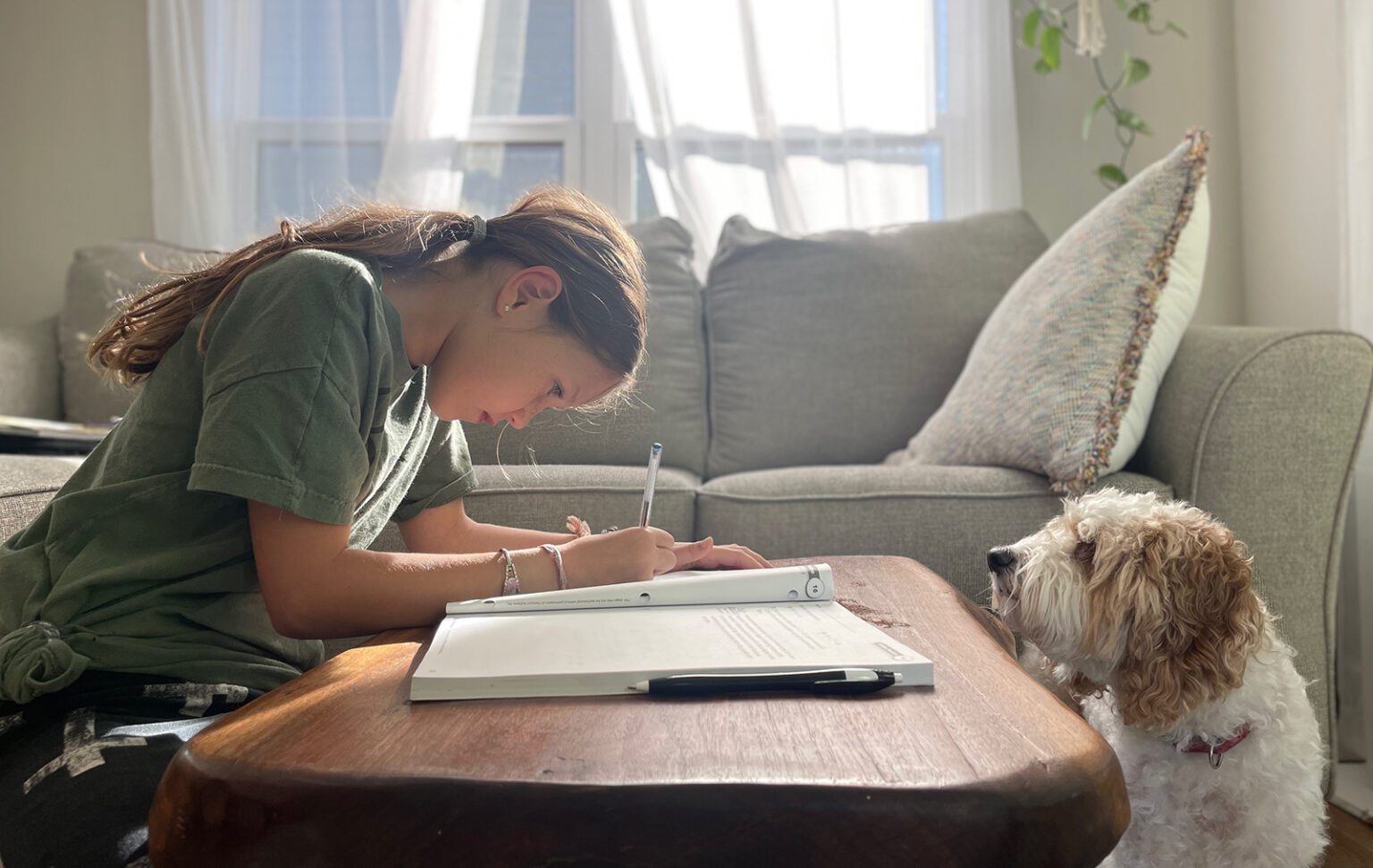 10 Reasons NOT to Homeschool » Christy Martin Photography